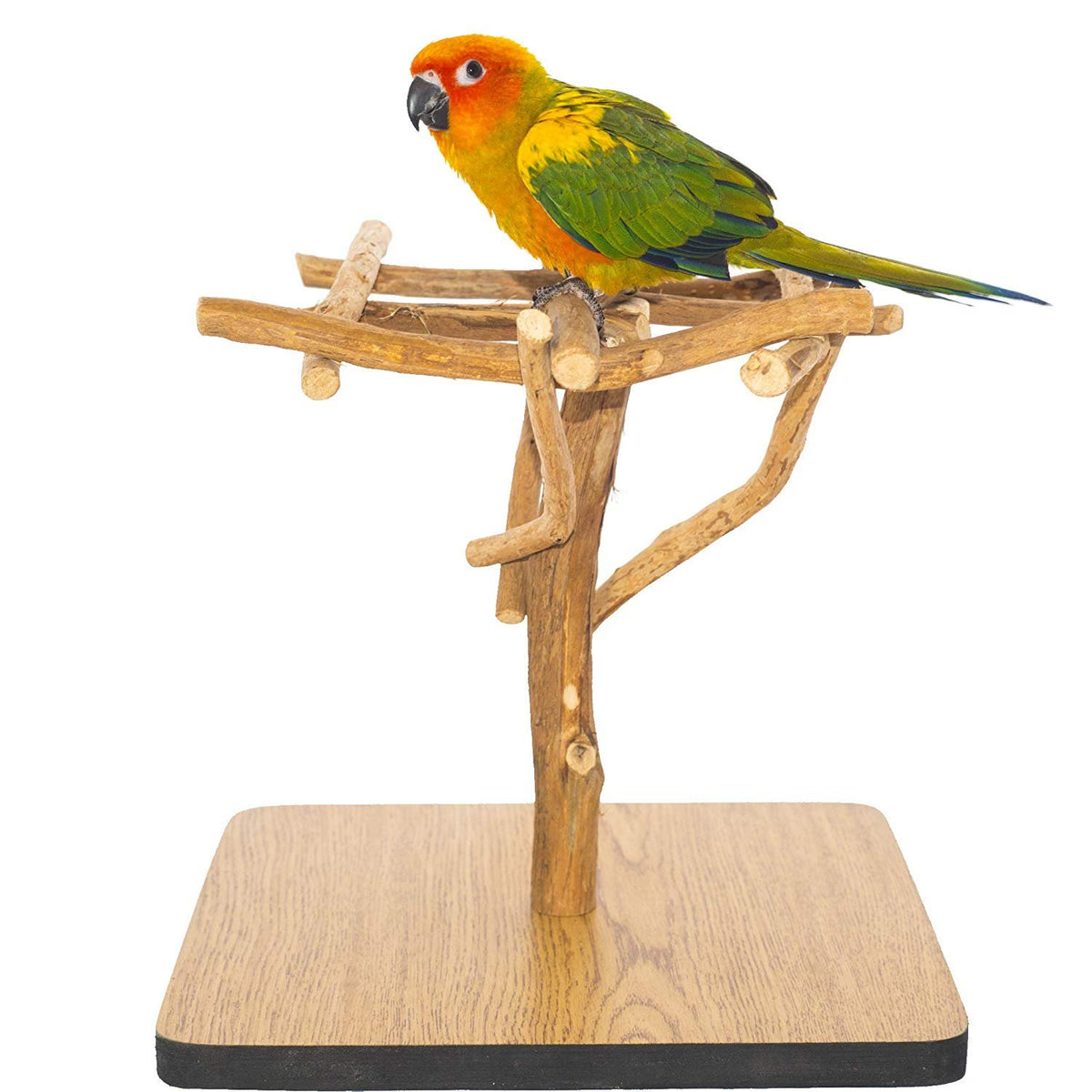 BIRDS LOVE | Deluxe Dragonwood Tabletop Bird Stand Cockatiels ...